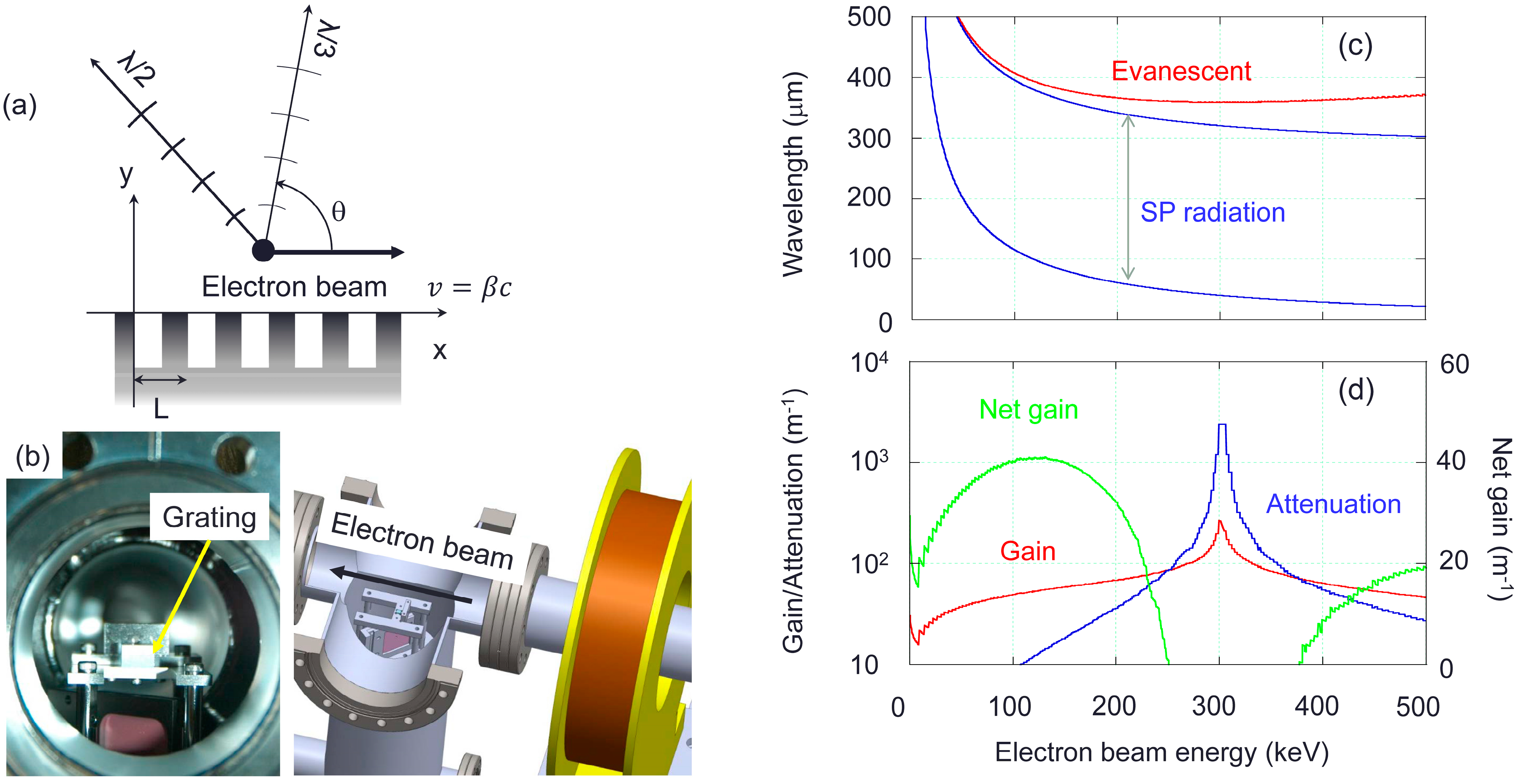 Development of a Multialkali Photocathode Dc Gun for a Smith-Purcell Terahertz Free-Electron Laser