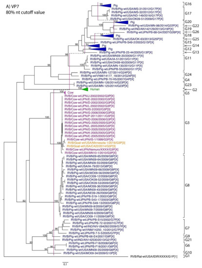 Whole Genome Classification and Phylogenetic Analyses of Rotavirus B ...