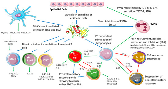 Pathogens | Special Issue : Molecular Pathogenesis of Staphylococcal ...