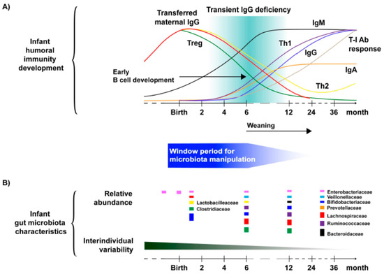 The Mammalian Intestinal Microbiome: Composition, Interaction with the ...
