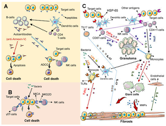 Pathogens | Free Full-Text | New Insights on the Pathogenesis of ...