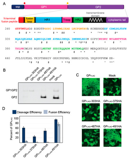 Pathogens | Special Issue : Lassa Fever: Viral Replication, Disease ...