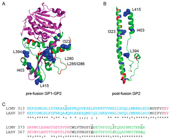 Pathogens | Special Issue : Lassa Fever: Viral Replication, Disease ...