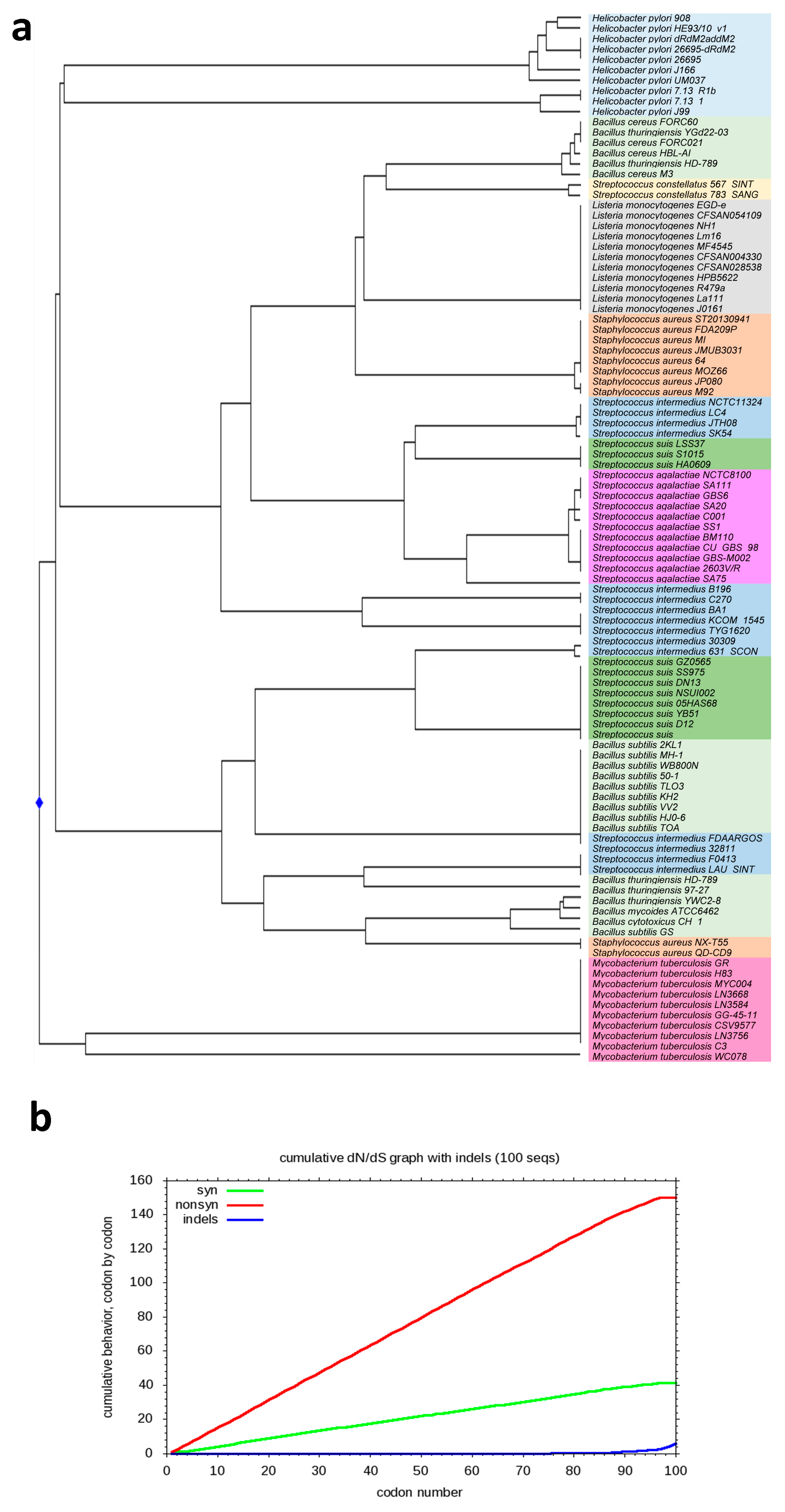 Genome Mining and Comparative Analysis of Streptococcus intermedius Causing Brain Abscess in a Child
