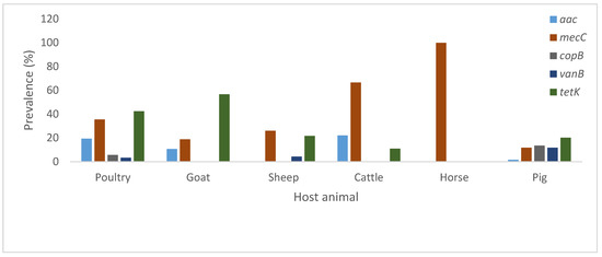 Pathogens | Free Full-Text | Isolation and Molecular Identification of ...