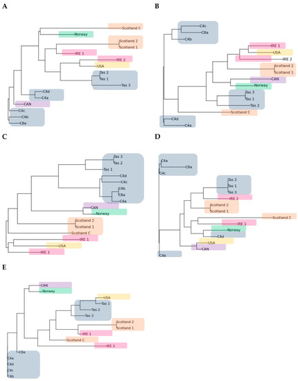 Multilocus Sequence Typing (MLST) and Random Polymorphic DNA (RAPD ...