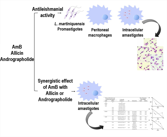 Pathogens | Free Full-Text | Antileishmanial Activity and Synergistic ...
