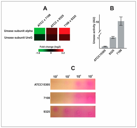 Staphylococcus saprophyticus Proteomic Analyses Elucidate Differences ...