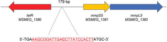 MmpS5-MmpL5 Transporters Provide Mycobacterium smegmatis Resistance to ...
