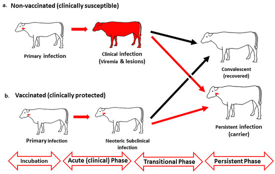 Pathogens | Special Issue : Diagnostics, Vaccinology and Pathogenesis ...