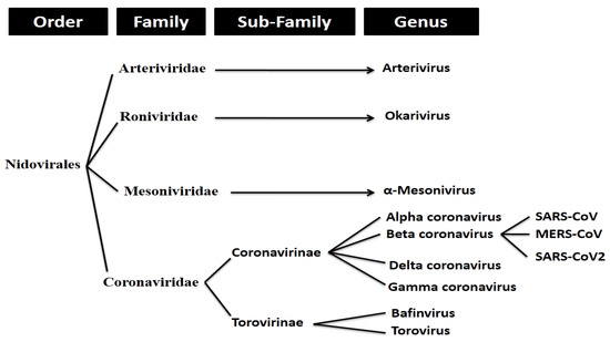 Evolutionary Trajectory for the Emergence of Novel Coronavirus SARS-CoV-2