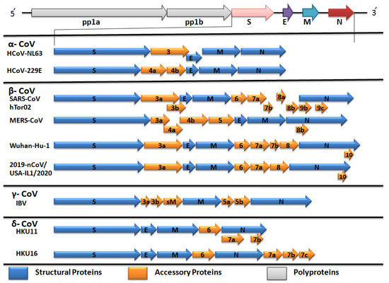 Evolutionary Trajectory for the Emergence of Novel Coronavirus SARS-CoV-2