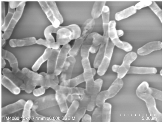 Mosquito-Borne Diseases Emergence/Resurgence and How to Effectively ...