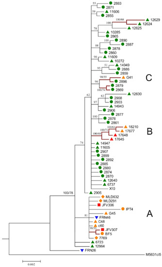 Pathogens | Free Full-Text | Genomics and High-Resolution Typing ...