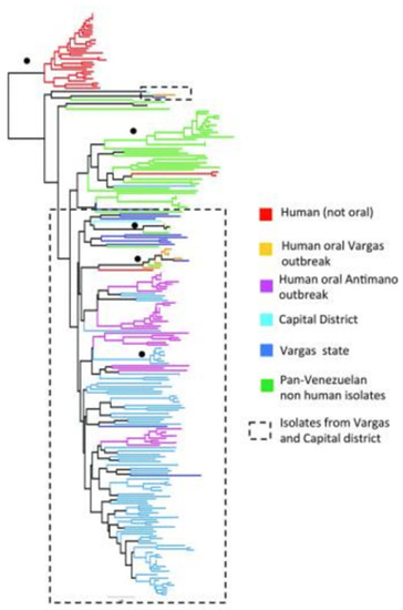 Pathogens | Free Full-Text | Genomics and High-Resolution Typing ...