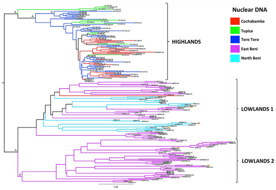Pathogens | Free Full-Text | Genomics and High-Resolution Typing ...