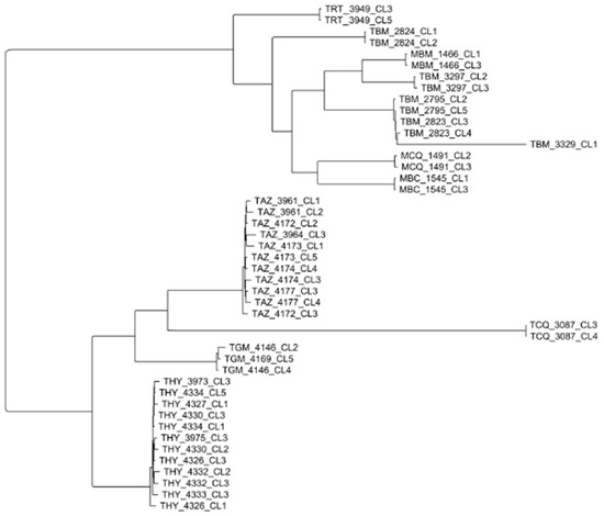 Pathogens | Free Full-Text | Genomics and High-Resolution Typing ...