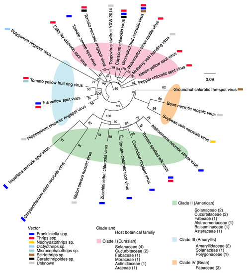 Pathogens | Free Full-Text | Variation Profile of the Orthotospovirus ...