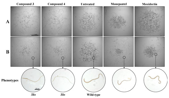 Pathogens | Special Issue : Animal Parasitic Diseases