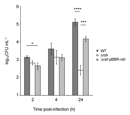 Intracellular Growth and Cell Cycle Progression are Dependent on (p ...