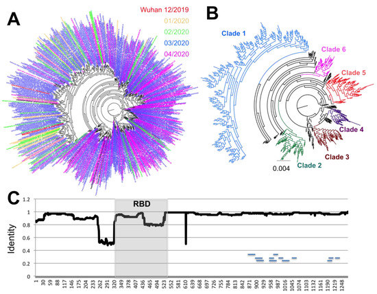 Polymorphism and Selection Pressure of SARS-CoV-2 Vaccine and ...