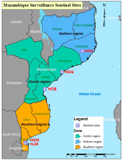 Molecular Epidemiology of Rotavirus A Strains Pre- and Post-Vaccine ...