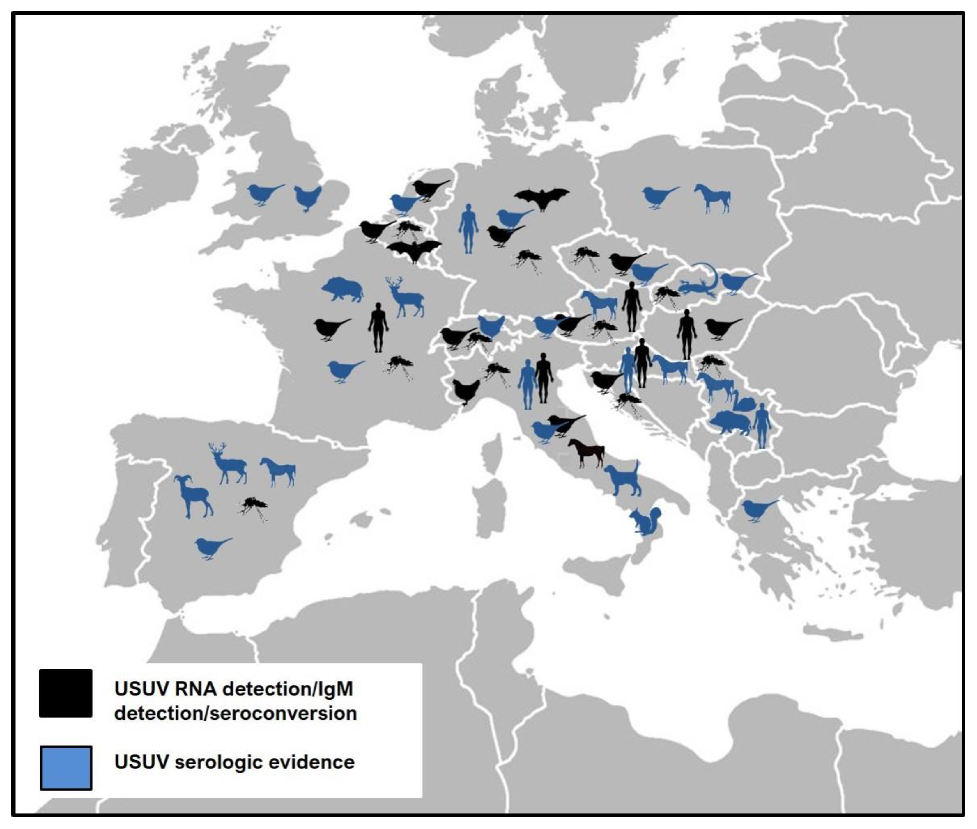 Epidemiology of Usutu Virus: The European Scenario