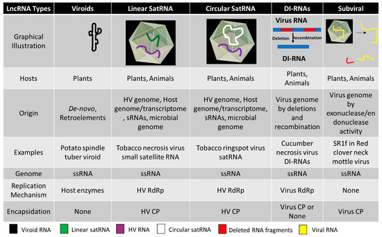 Long Noncoding RNAs in Plant Viroids and Viruses: A Review