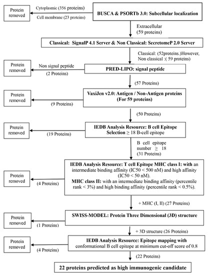 Pathogens Free Full Text In Silico Identification Of Novel
