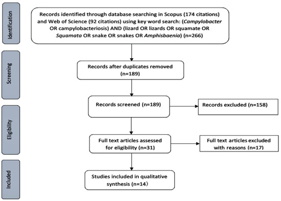 Zoonotic and Public Health Implications of Campylobacter Species and ...