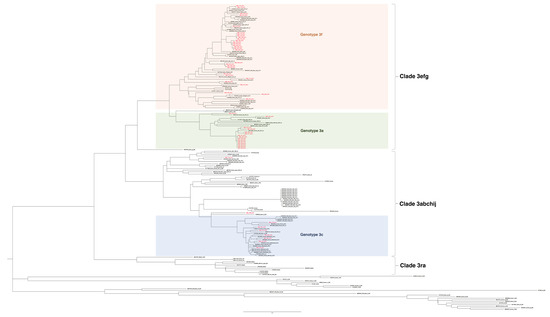 Pathogens | Free Full-Text | Clinical Characteristics of Acute ...
