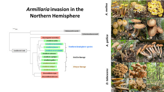 Pathogens | Free Full-Text | Epidemiology, Biotic Interactions and ...