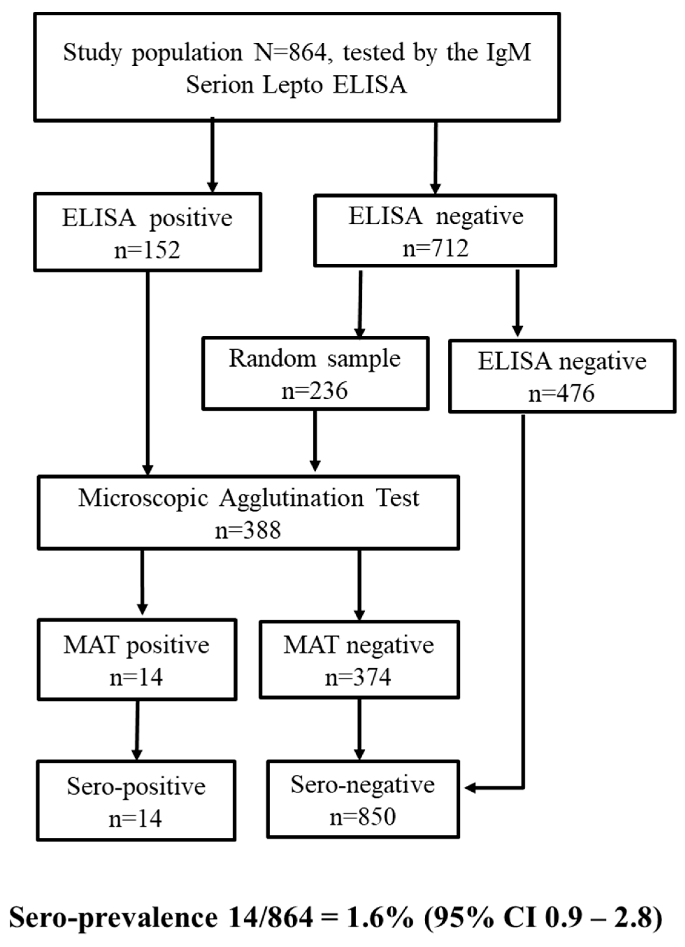 Exposure to Leptospira spp. and Associated Risk Factors in the Human ...