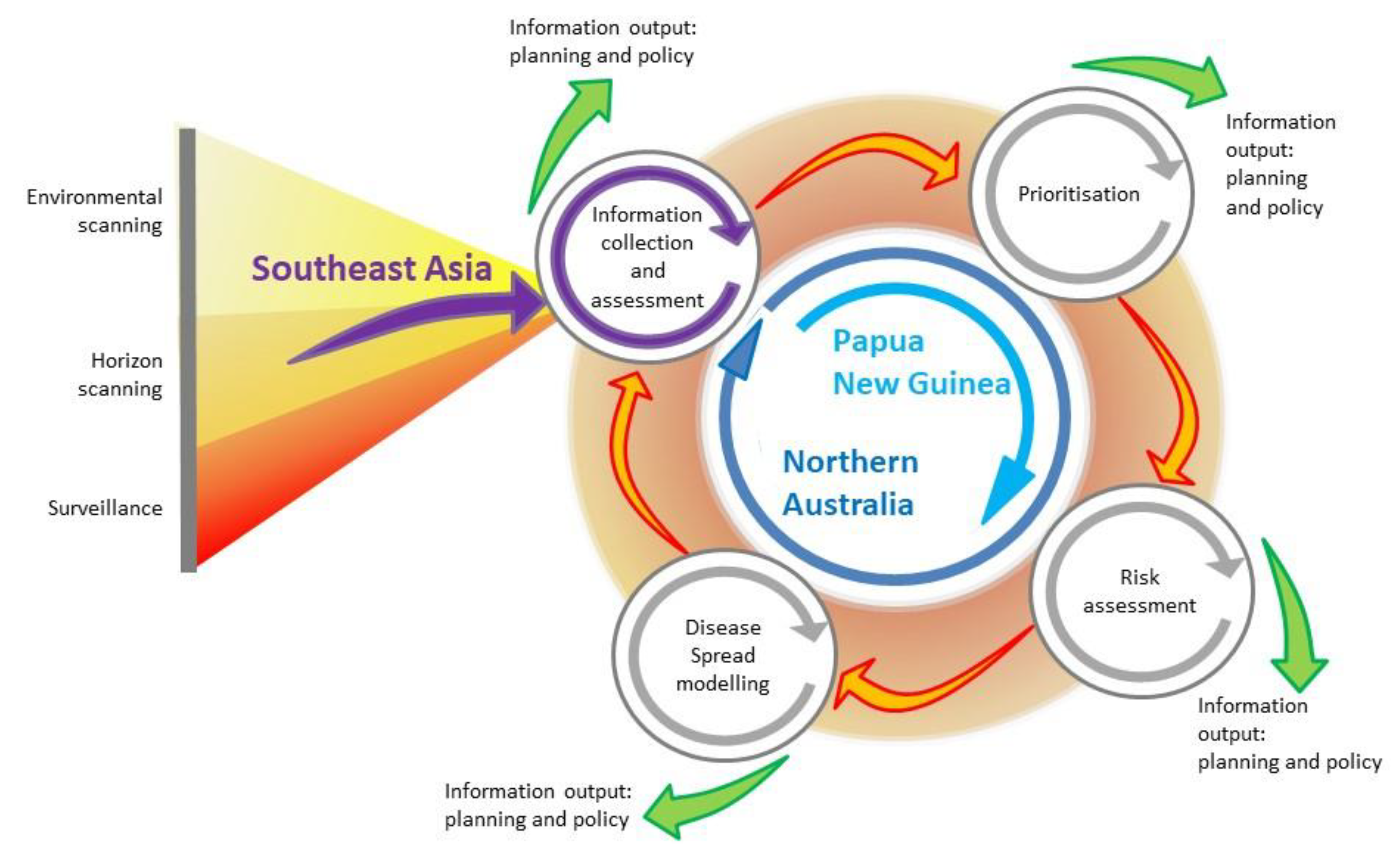 Rabies Transmission Cycle