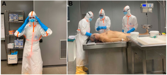 Pathogens | Free Full-Text | Minimally Invasive Autopsy Practice in ...