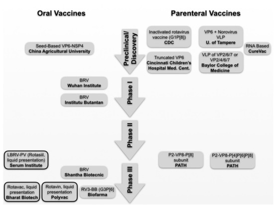 The Rotavirus Vaccine Landscape, an Update