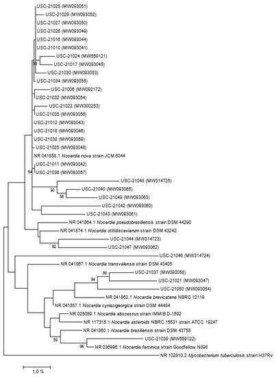 Isolation and Characterization of Nocardiae Associated with Foaming ...