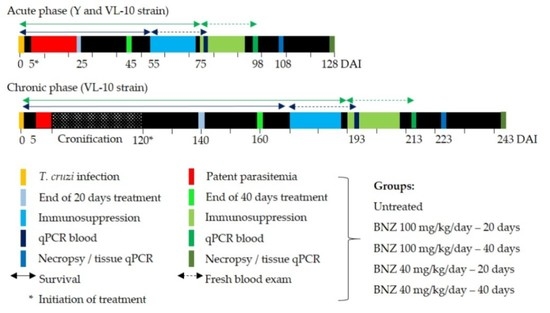 Pathogens | Special Issue : Optimizing Treatment for Parasitic Infections