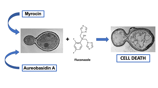 Pathogens | Special Issue : Candida albicans: A Major Fungal Pathogen ...