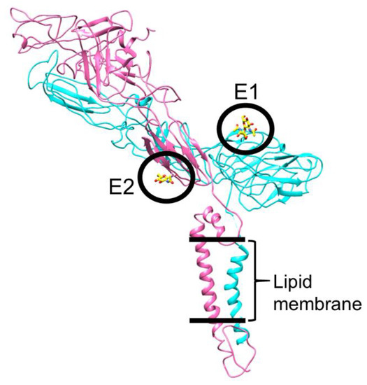 Pathogens | Special Issue : The Alphavirus Trifecta: How Replication ...