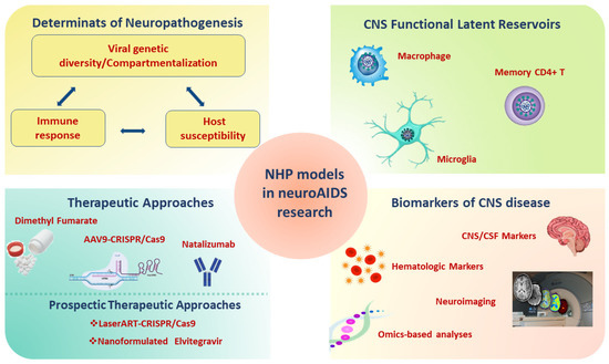 Advances in SIV/SHIV Non-Human Primate Models of NeuroAIDS
