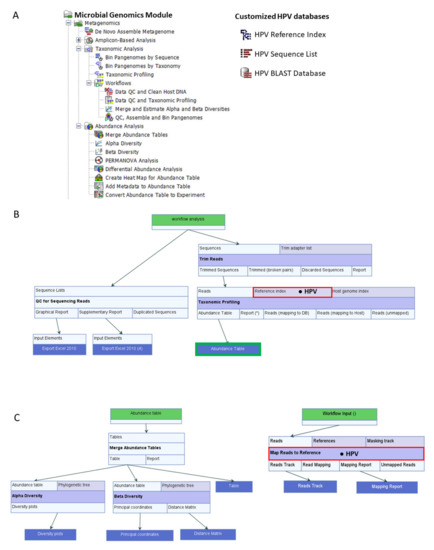 HPV DeepSeq: An Ultra-Fast Method of NGS Data Analysis and Visualization Using Automated ...