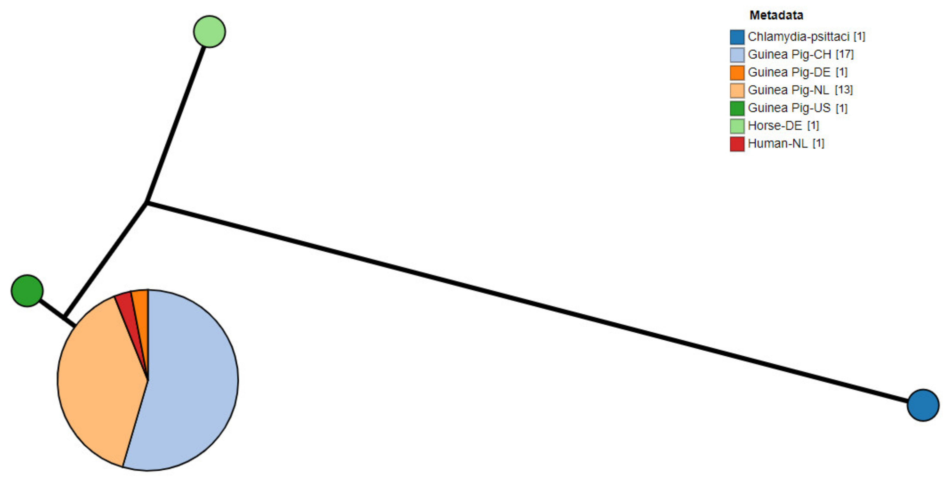 Chlamydia caviae in Swiss and Dutch Guinea Pigs—Occurrence and Genetic ...