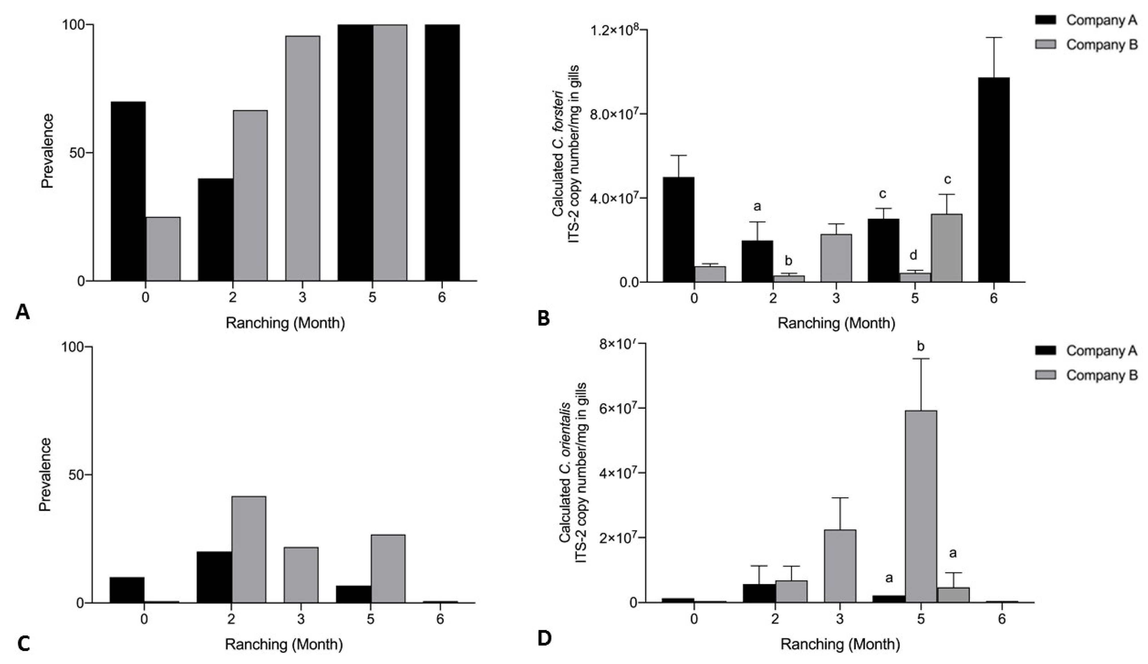 Pathogens | Free Full-Text | Prevalence and Intensity of Cardicola spp ...
