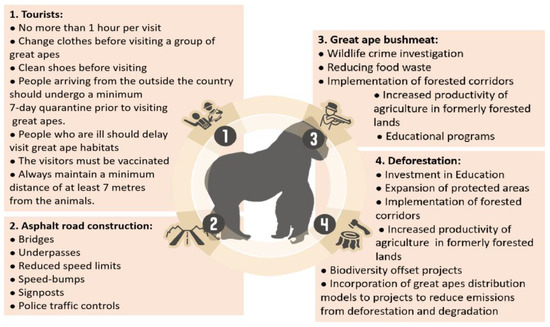 One Health Perspectives on New Emerging Viral Diseases in African Wild ...