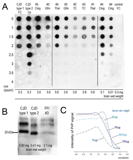 Defining the Prion Type of Fatal Familial Insomnia