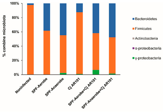 Microbiota from Specific Pathogen-Free Mice Reduces Campylobacter ...
