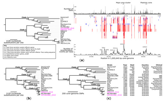 Completing the Genome Sequence of Chlamydia pecorum Strains MC/MarsBar ...