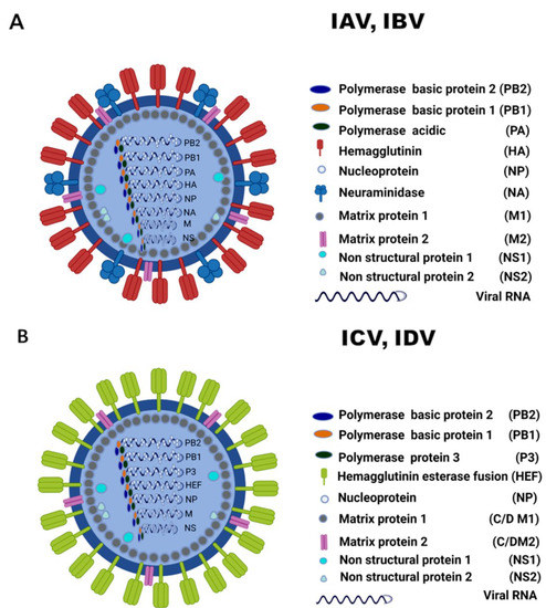 Host Range, Biology, and Species Specificity of Seven-Segmented ...
