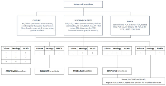Microbiological Laboratory Diagnosis of Human Brucellosis: An Overview